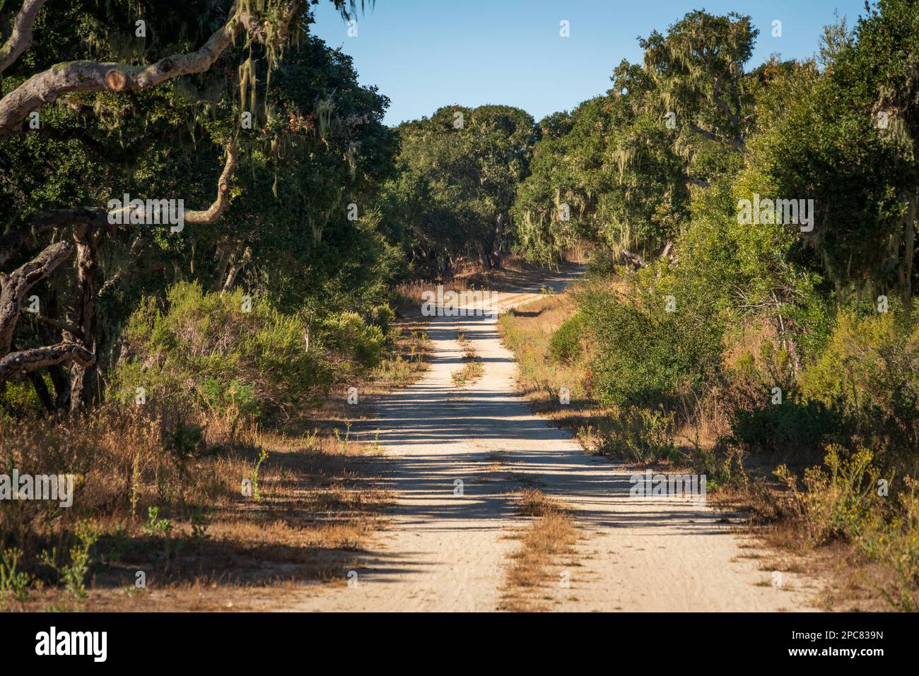Fort Ord National Monument, California Stock Photo - Alamy