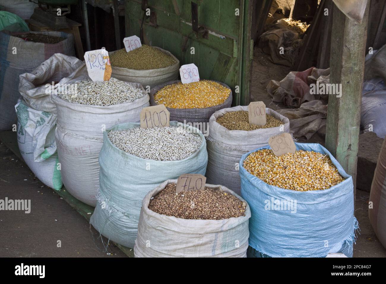 Maize crop with bean africa hi-res stock photography and images - Alamy
