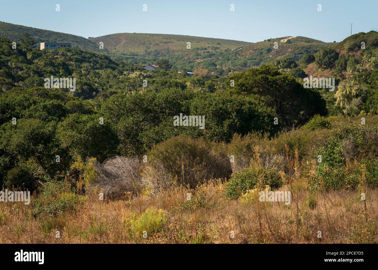 Fort Ord National Monument, California Stock Photo - Alamy