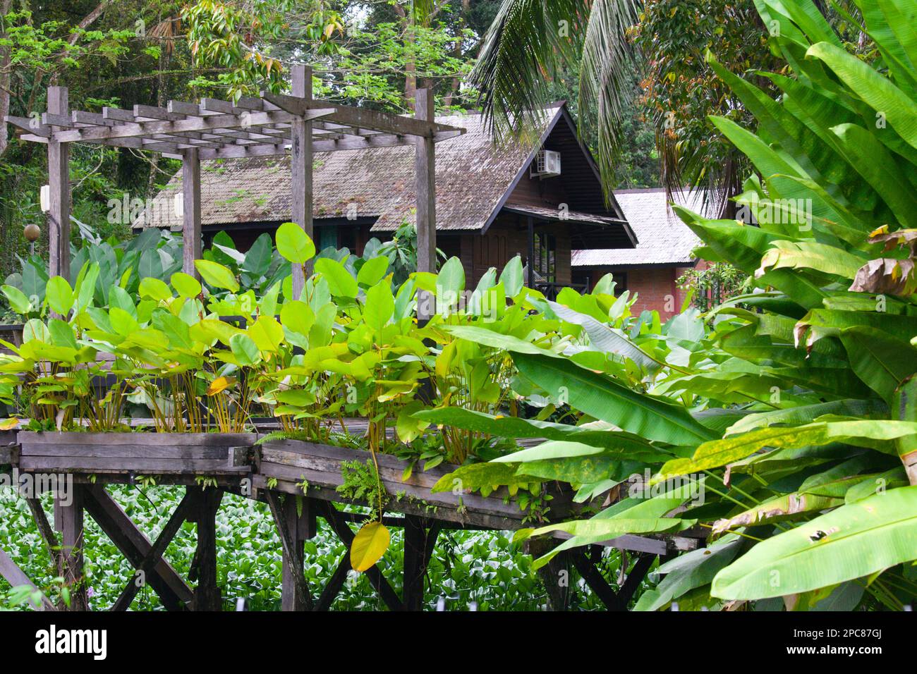 Malaysia, Sabah, Sepilok, Nature Resort Stock Photo - Alamy
