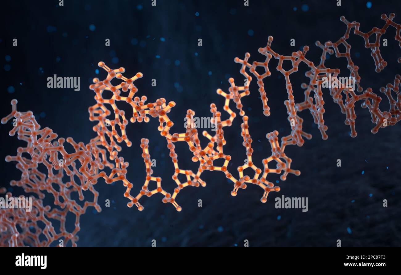 Spiral strands of human DNA on the dark background. 3D illustration ...