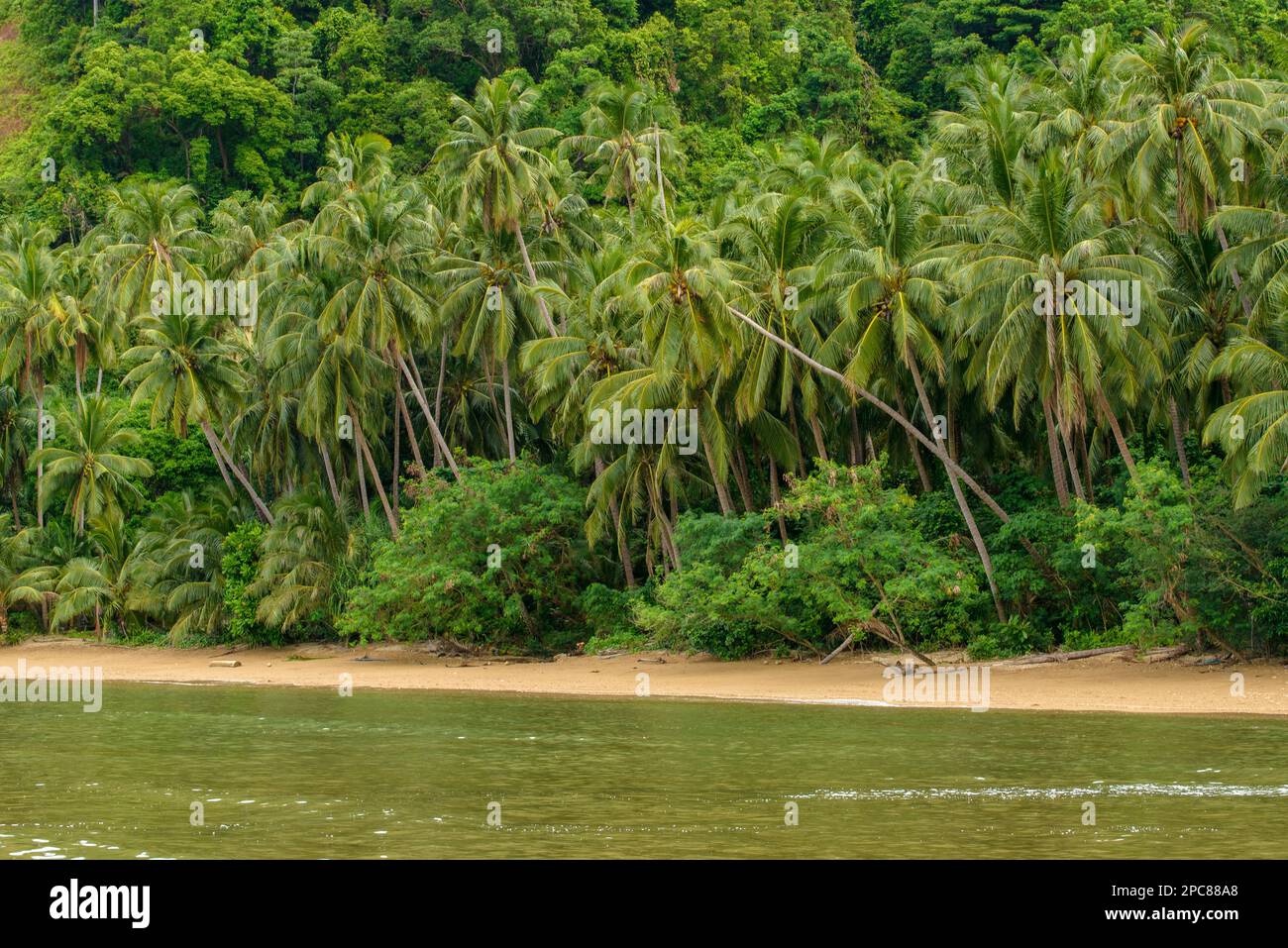 Landscape depicts scenic view hi-res stock photography and images - Alamy