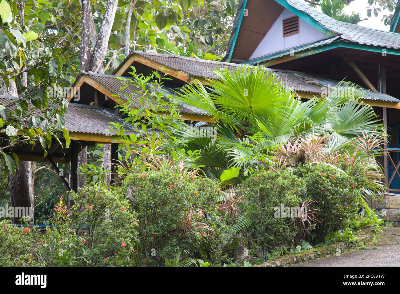 Malaysia, Sabah, Sepilok, Jungle Resort Stock Photo - Alamy