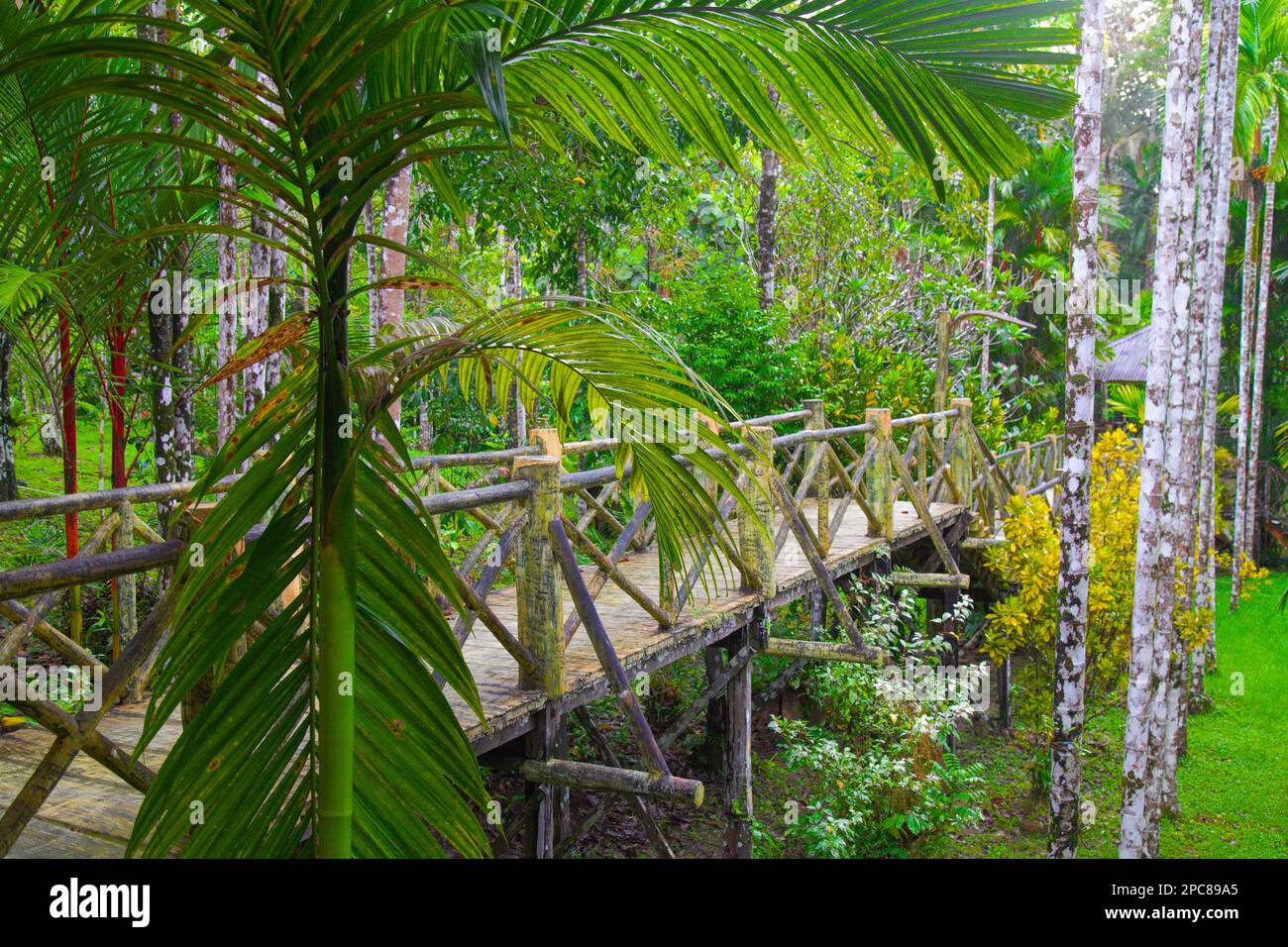 Malaysia, Sabah, Sepilok, Jungle Resort Stock Photo - Alamy