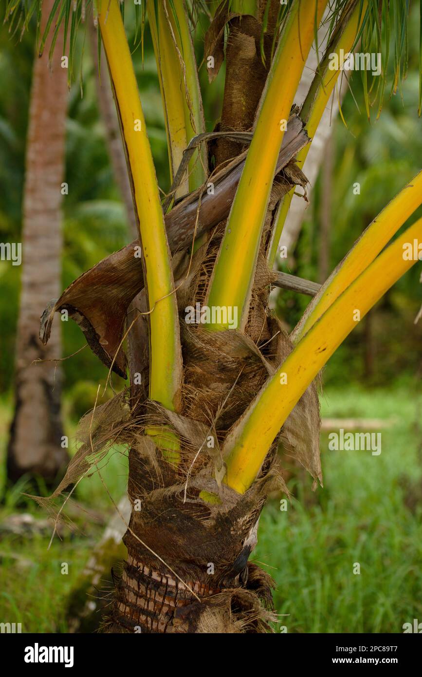 Depicts a coastal hi-res stock photography and images - Alamy