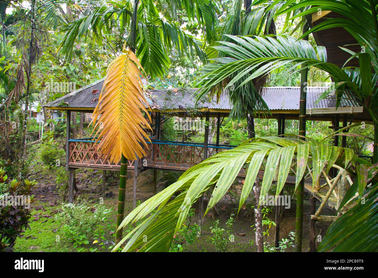 Malaysia, Sabah, Sepilok, Jungle Resort Stock Photo - Alamy