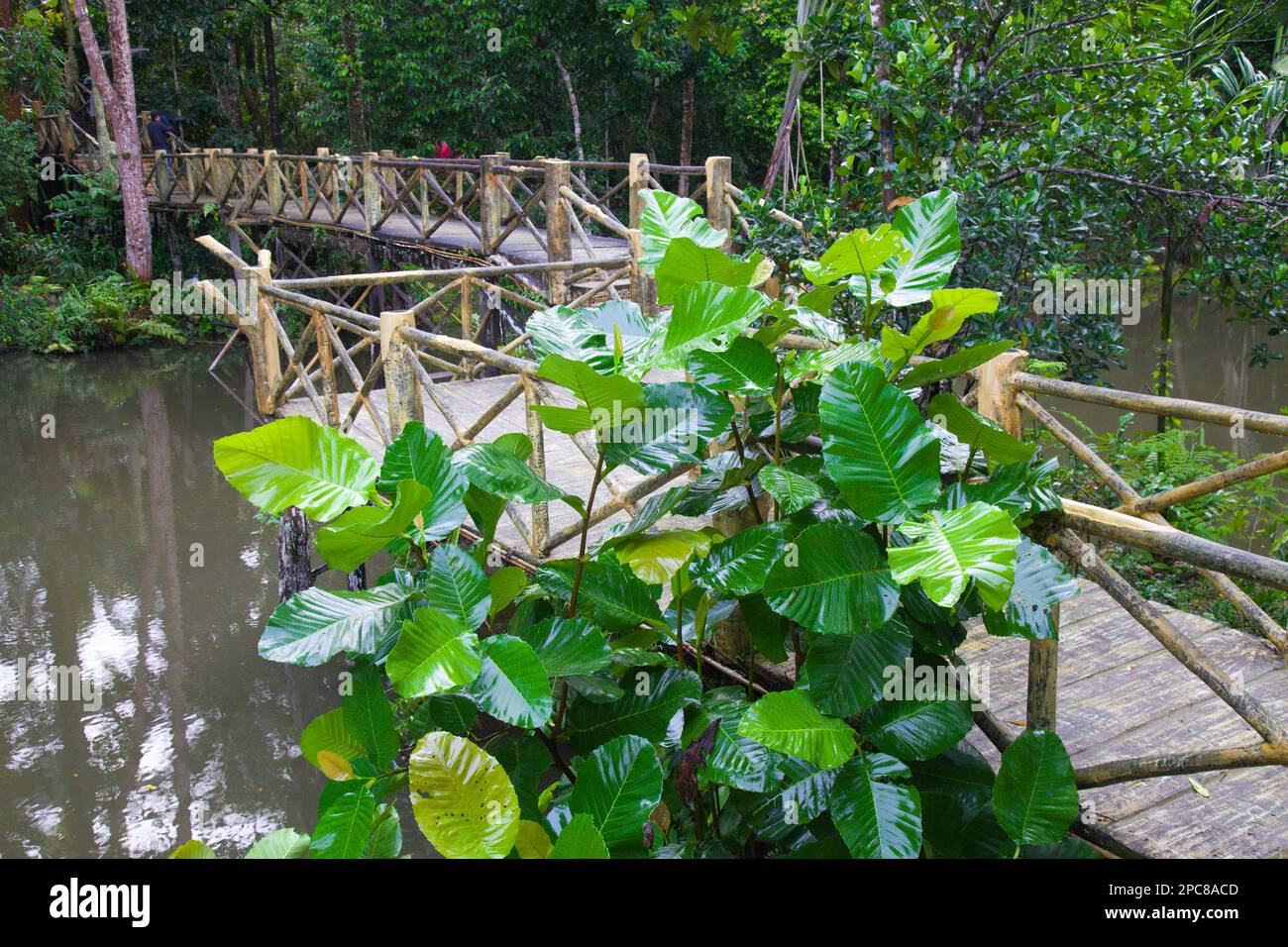 Malaysia, Sabah, Sepilok, Jungle Resort Stock Photo - Alamy