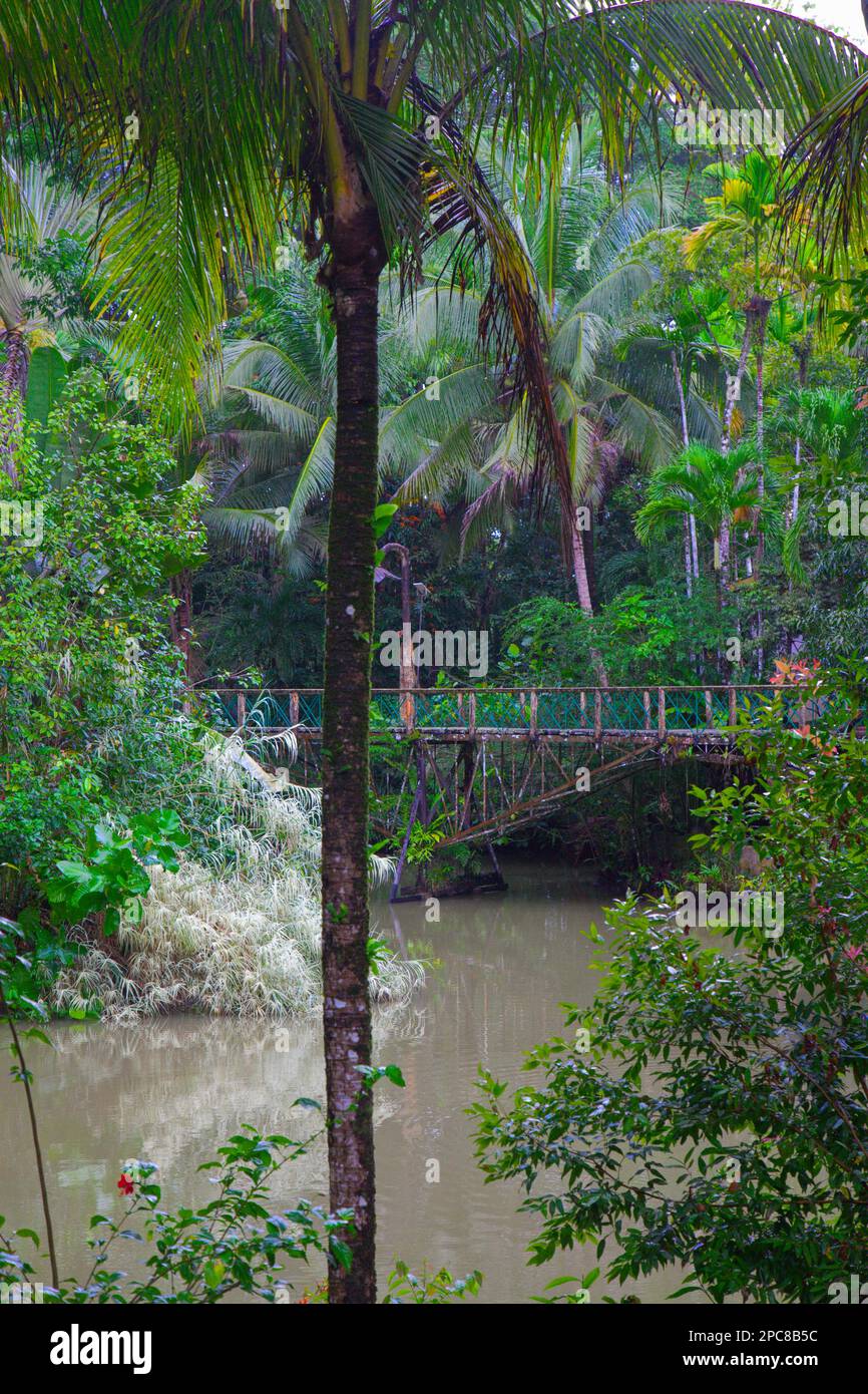 Malaysia, Sabah, Sepilok, Jungle Resort Stock Photo - Alamy