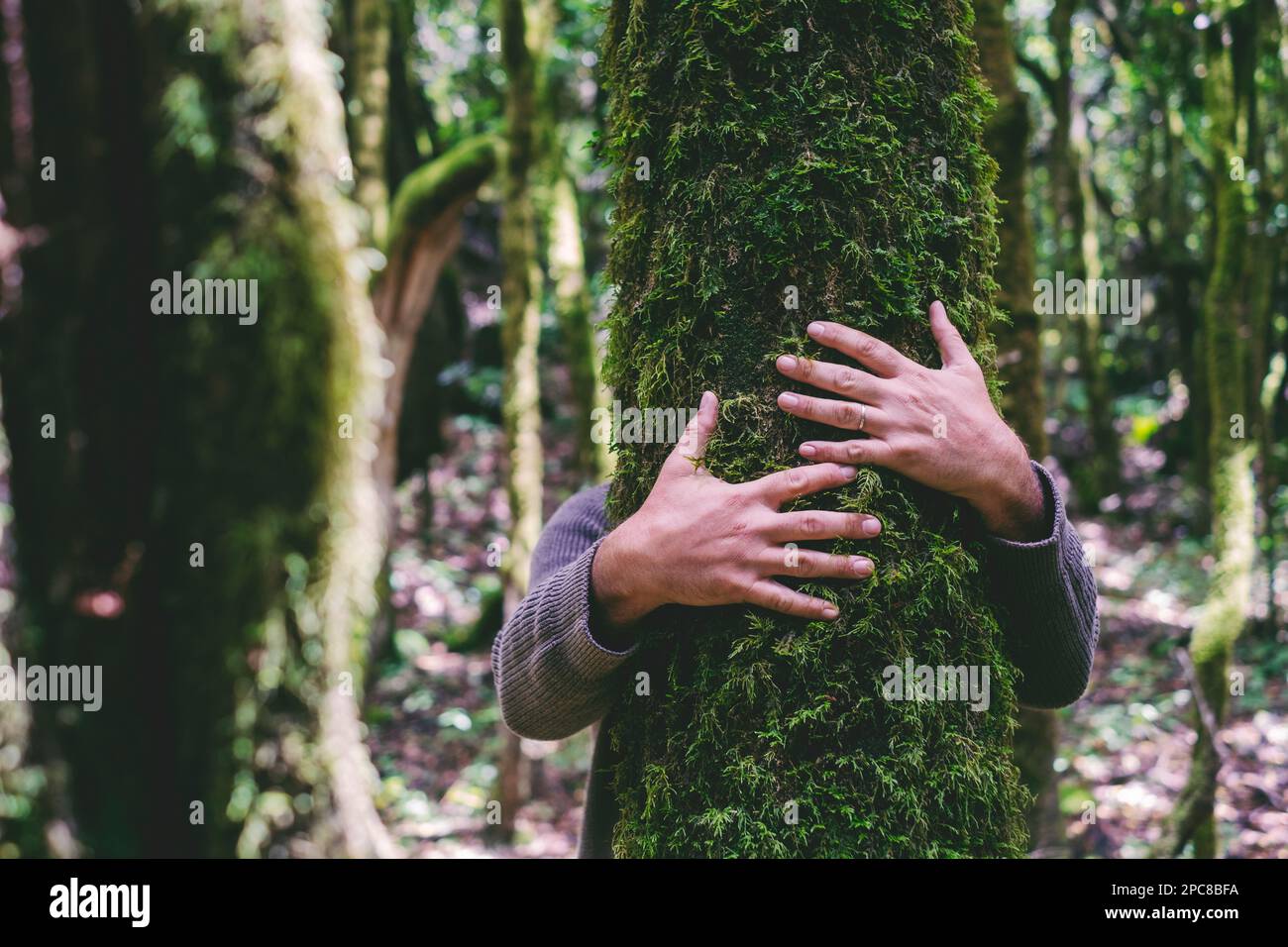 One man hugging a green trunk tree with musk in nature forest woods ...