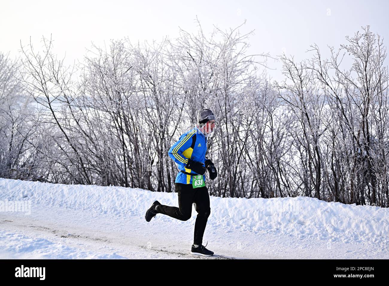 St. Patrick Road Race, 10 km, Calgary, Canada, March 12, 2023 Stock ...