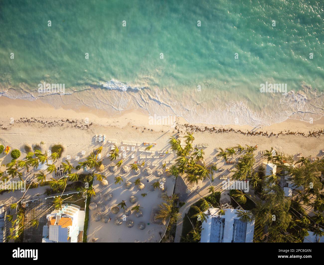 Top view of palm trees on the sandy beach, houses and warm clear ...
