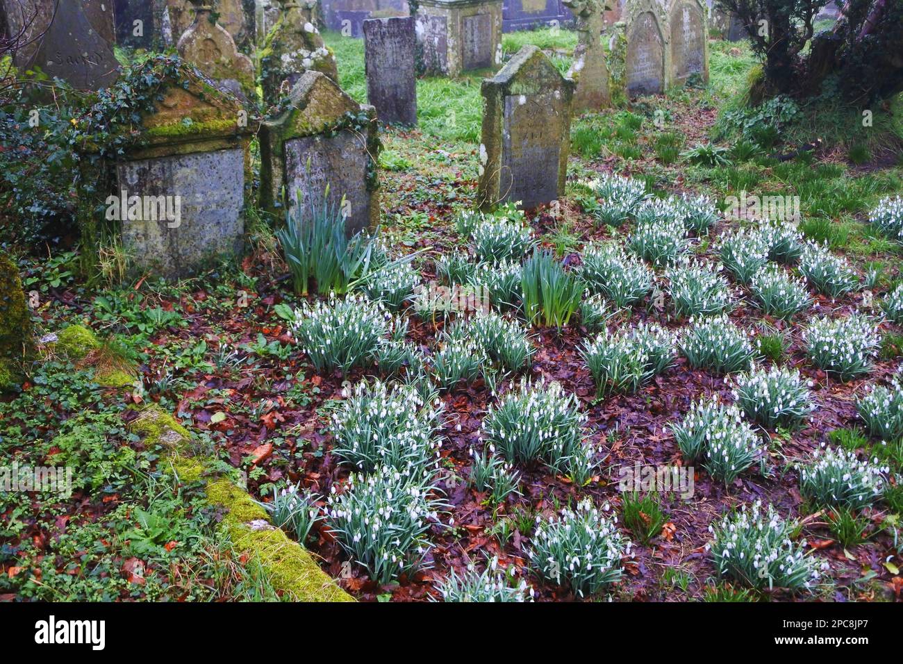 The graveyard at St. Dennis parish church, Cornwall, UK - John Gollop ...