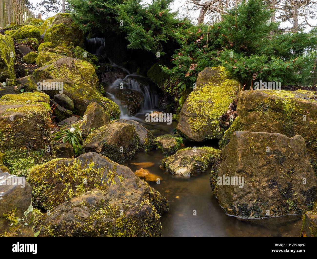 Flowers water gardens rockery hi-res stock photography and images - Alamy