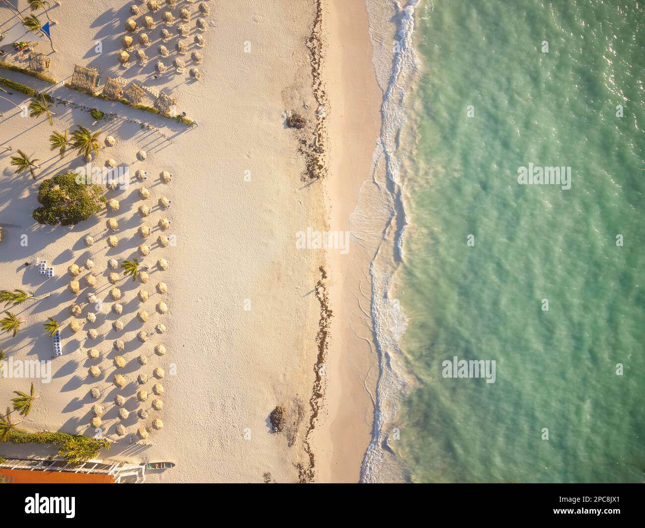 Sea, sandy beach, palm trees and wooden deck chairs. View from above ...