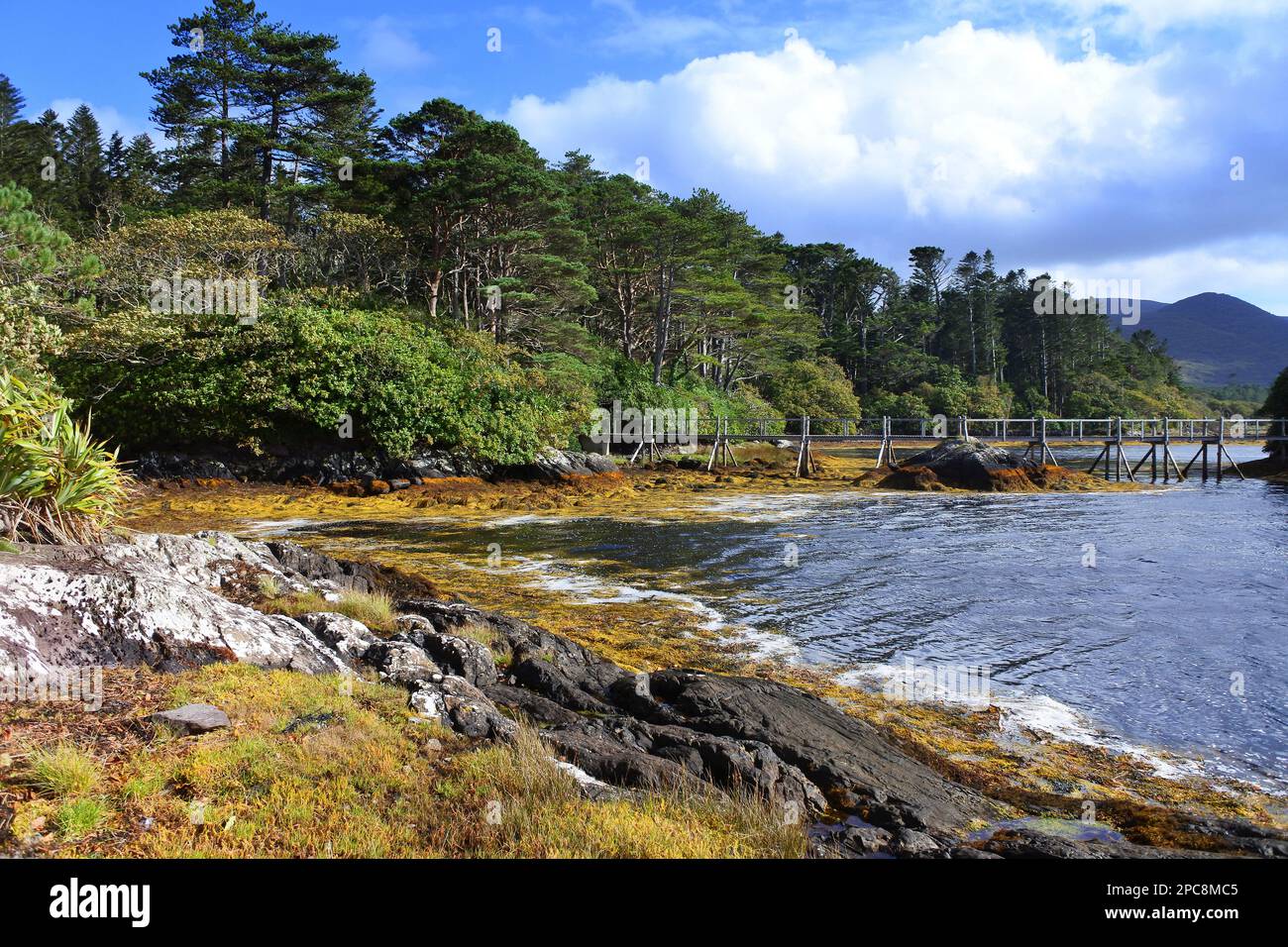 The landscape, gardens and coastline at Derreen Gardens, on the Beara ...
