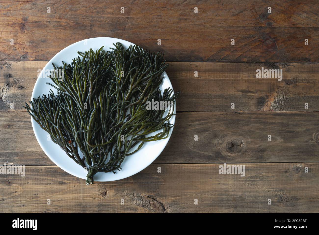 Codium fragile. Green algae in a ceramic dish on a wooden background ...