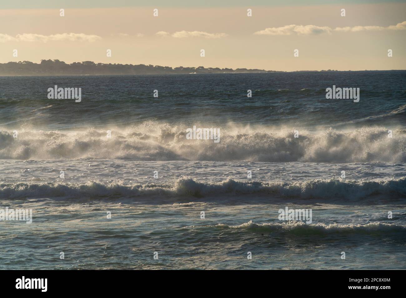 Fort ord dunes state park california hi-res stock photography and ...