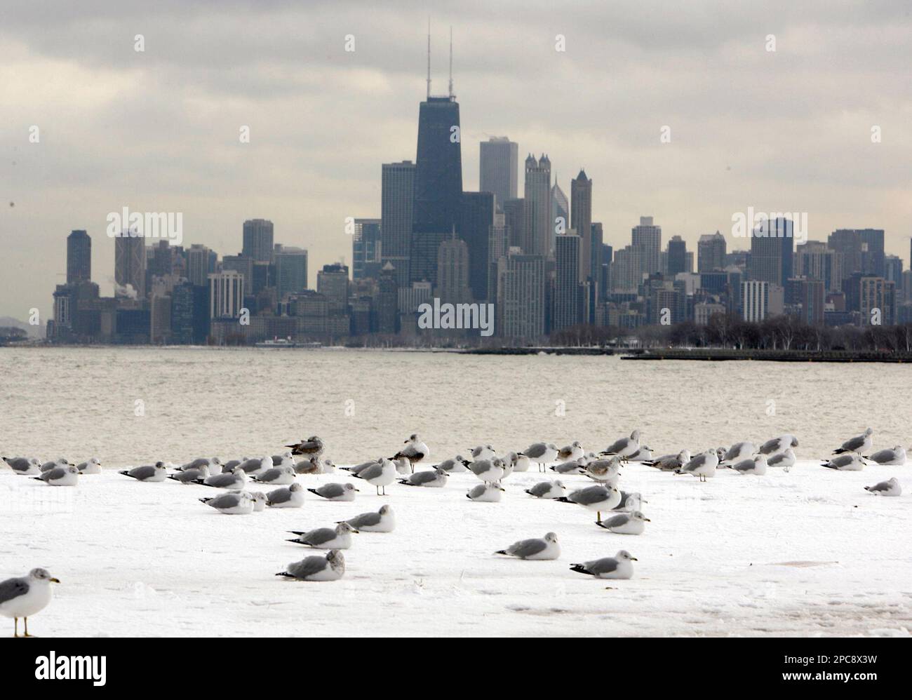 Birds sit in deep snowdrifts at the Lake Shore drive in Chicago, Friday ...