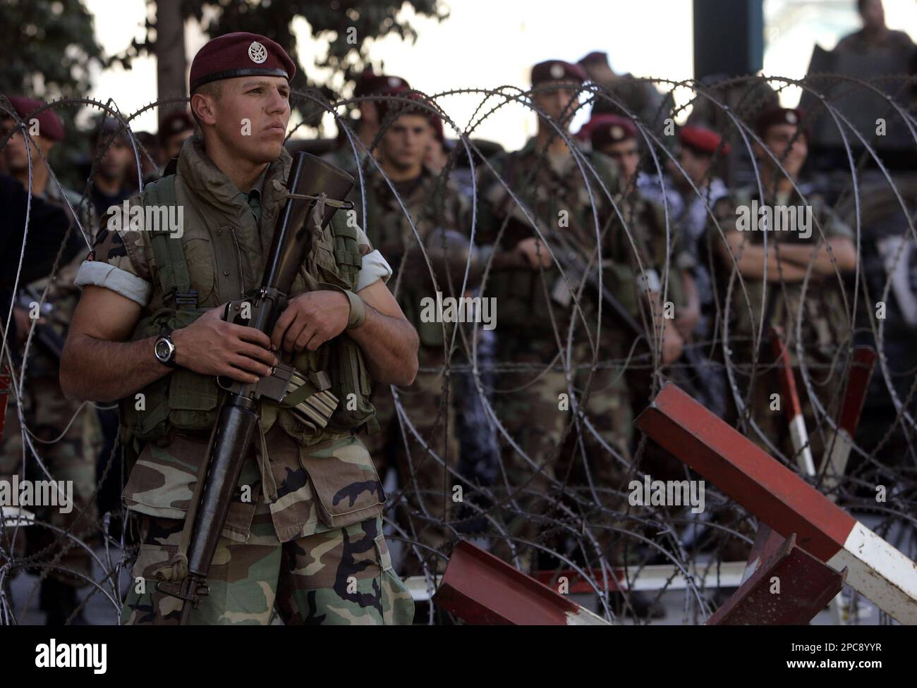 Lebanese Army Wallpaper