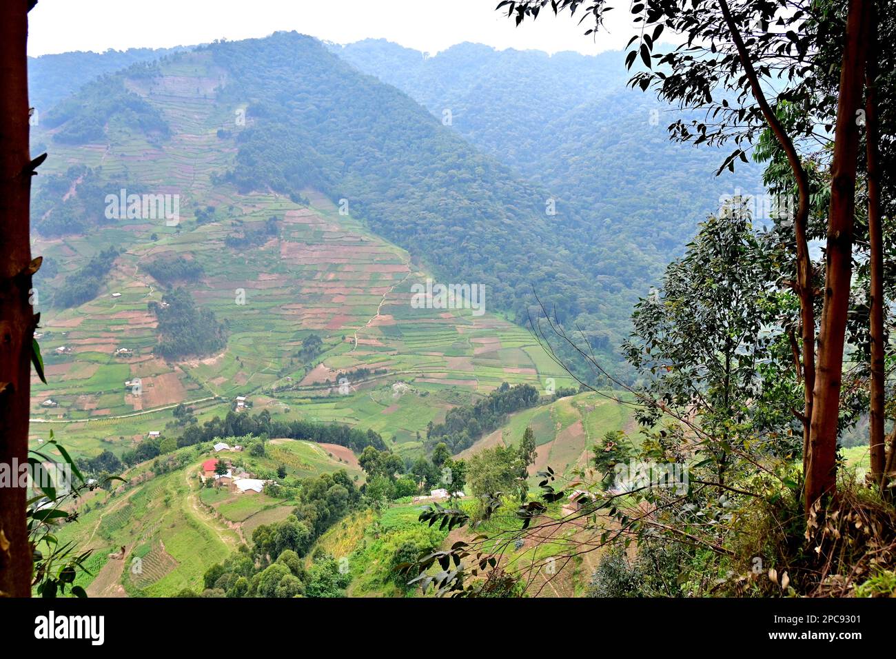 Uganda, East Africa Stock Photo - Alamy