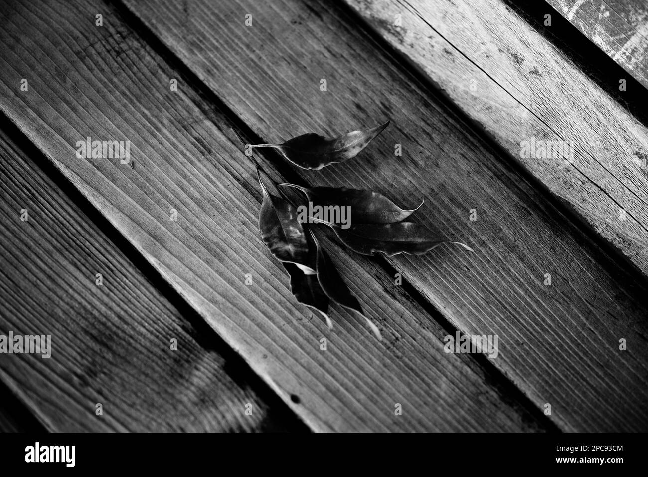 Wood deck top view Black and White Stock Photos & Images - Alamy