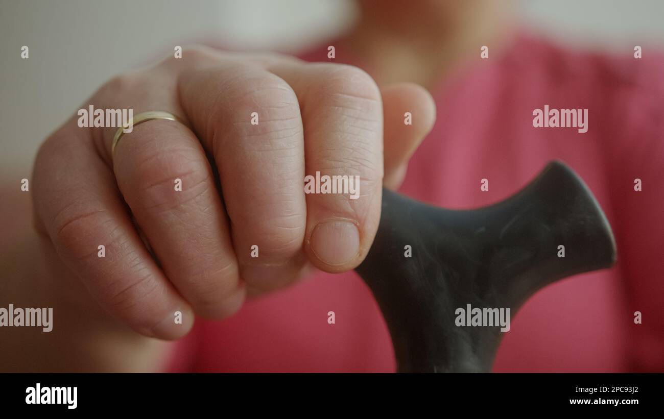 Natural history insight hi-res stock photography and images - Alamy