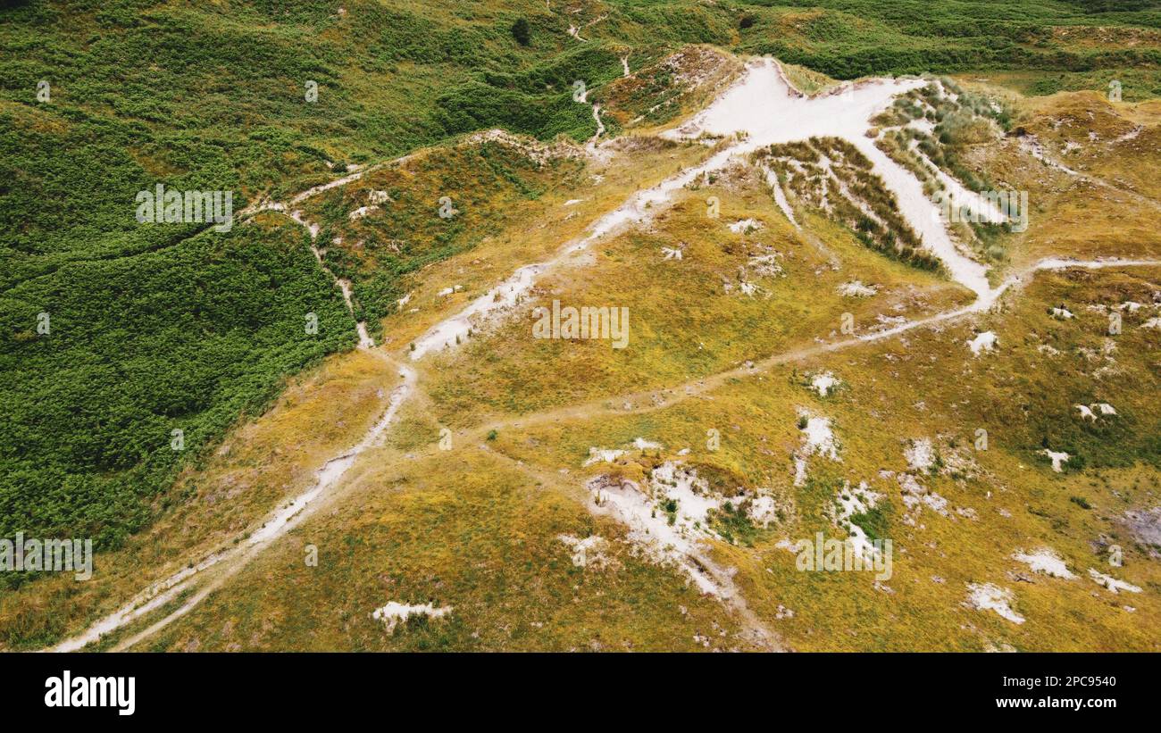 Picturesque sand hills. Hardy plants grow on sand dunes. Hilly terrain ...