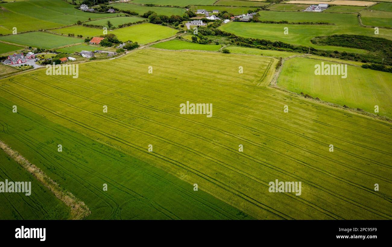 Green fields of ireland hi-res stock photography and images - Alamy