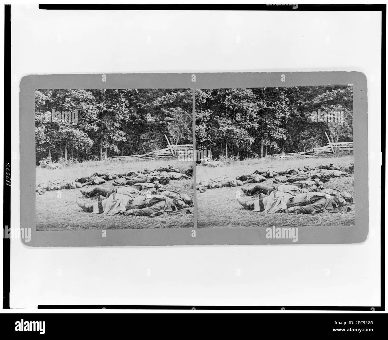 Confederate dead gathered for burial at the southwestern edge of the ...