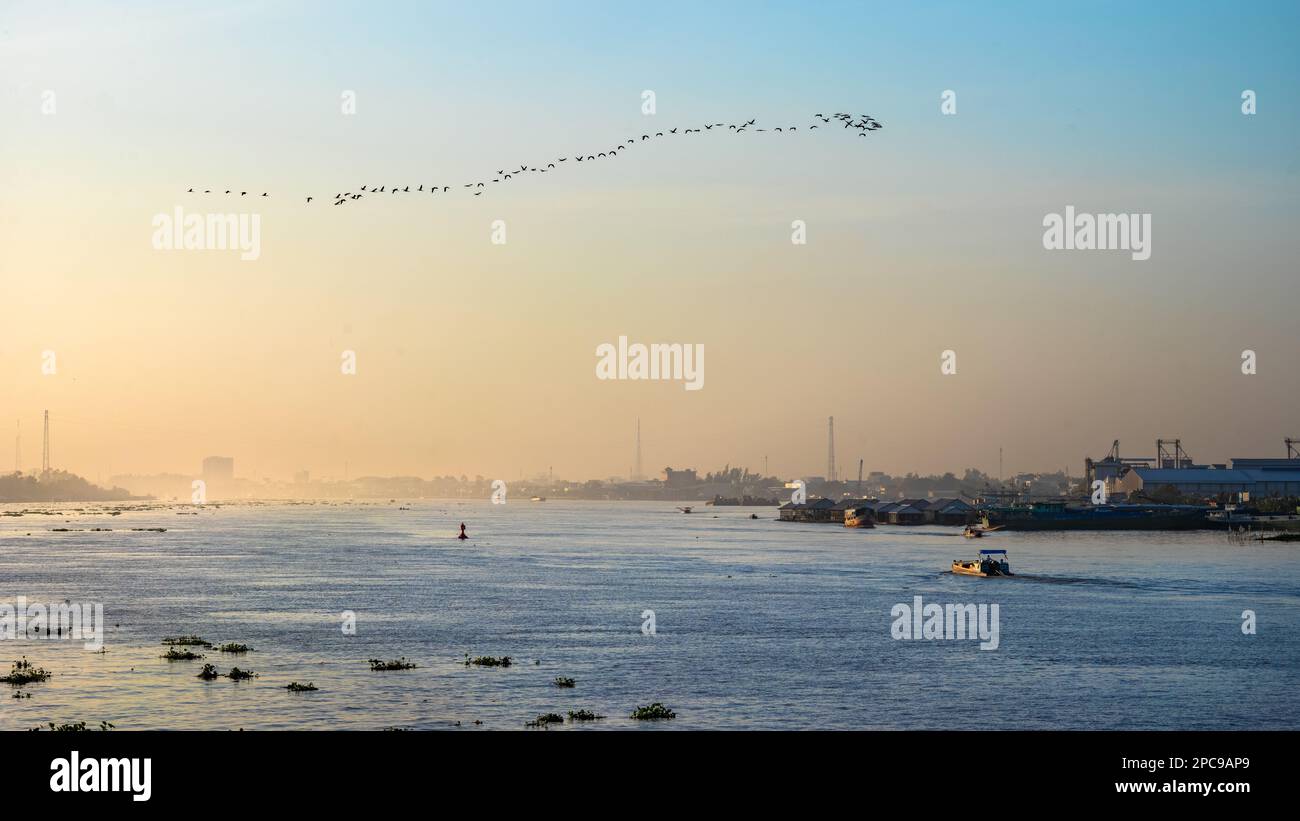 Geese flying smoke from hi-res stock photography and images - Alamy
