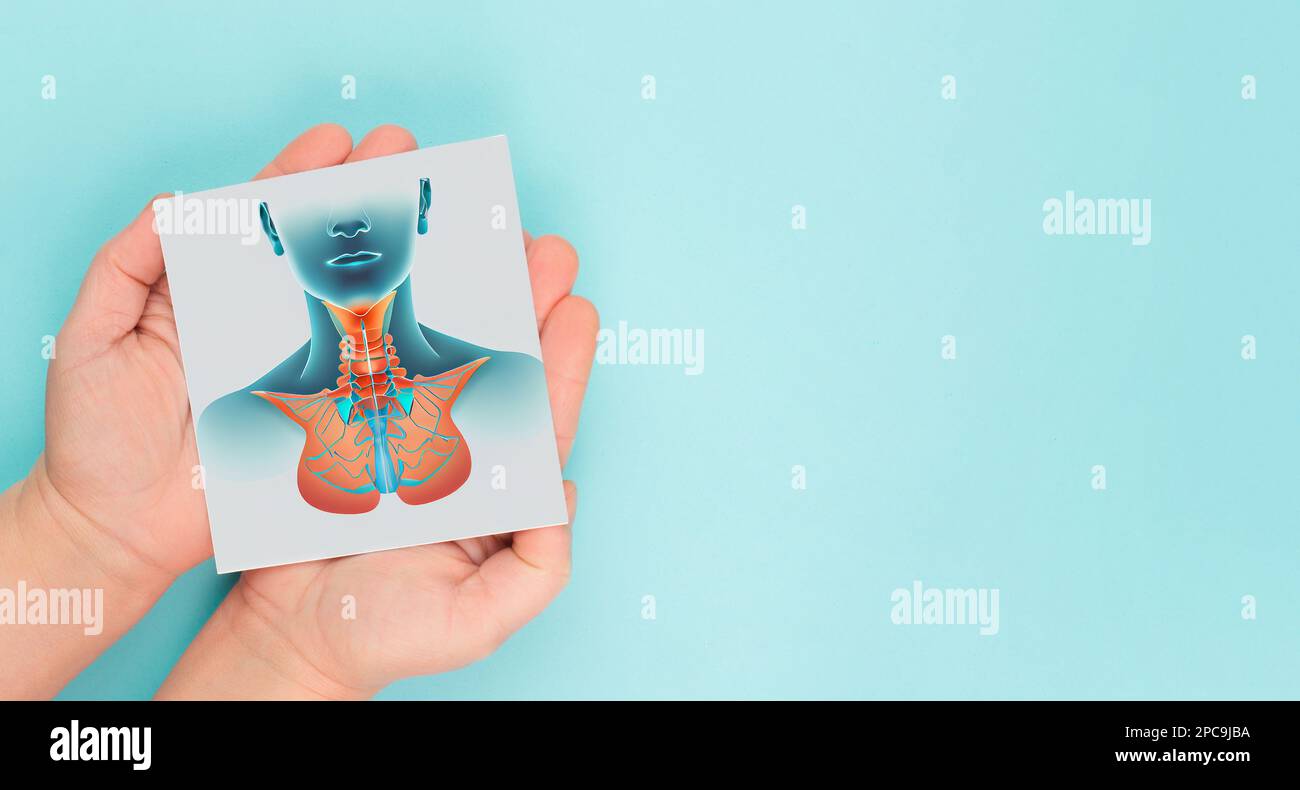 Hashimoto disease hi-res stock photography and images - Alamy