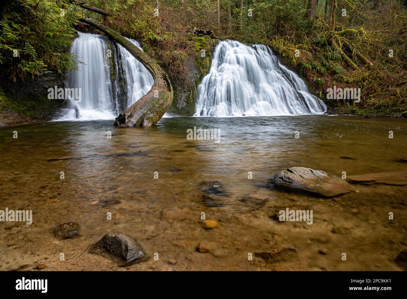 WA23268-00...WASHINGTON - Cherry Creek Falls in Marckworth State Forest ...