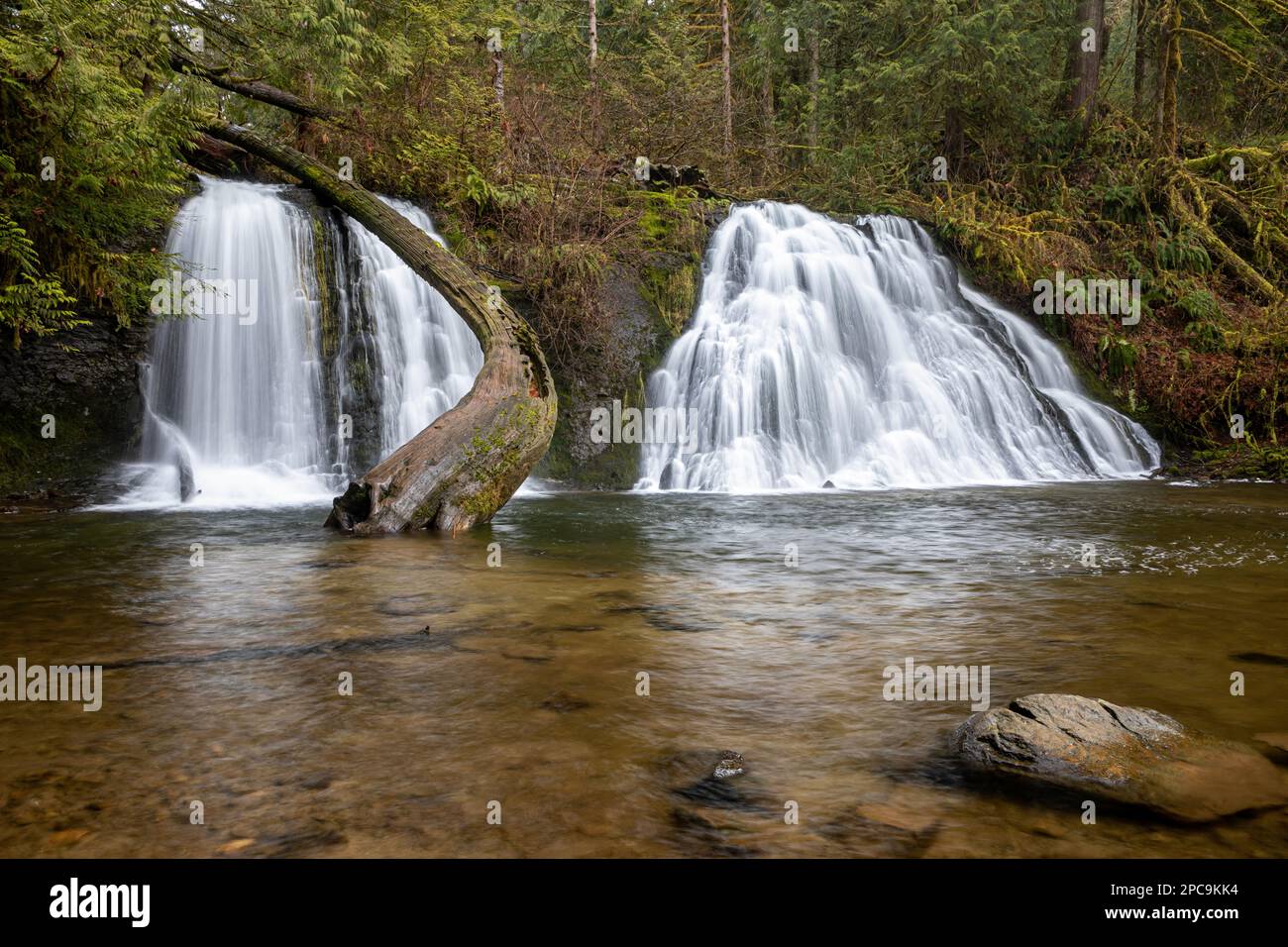 WA23270-00...WASHINGTON - Cherry Creek Falls in Marckworth State Forest ...