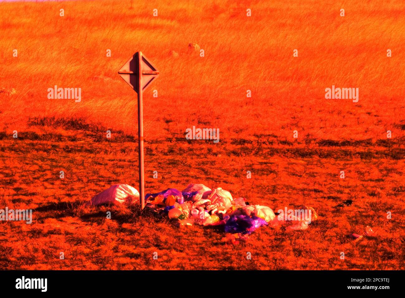 Post-Apocalypse. Sign in wilderness (probably written poisoned earth ...