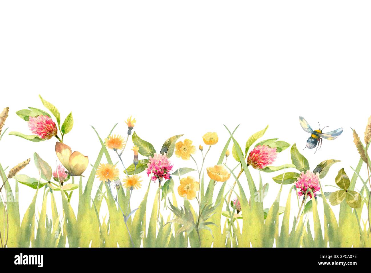 Watercolor hand drawn meadow herbal seamless border with green grass ...