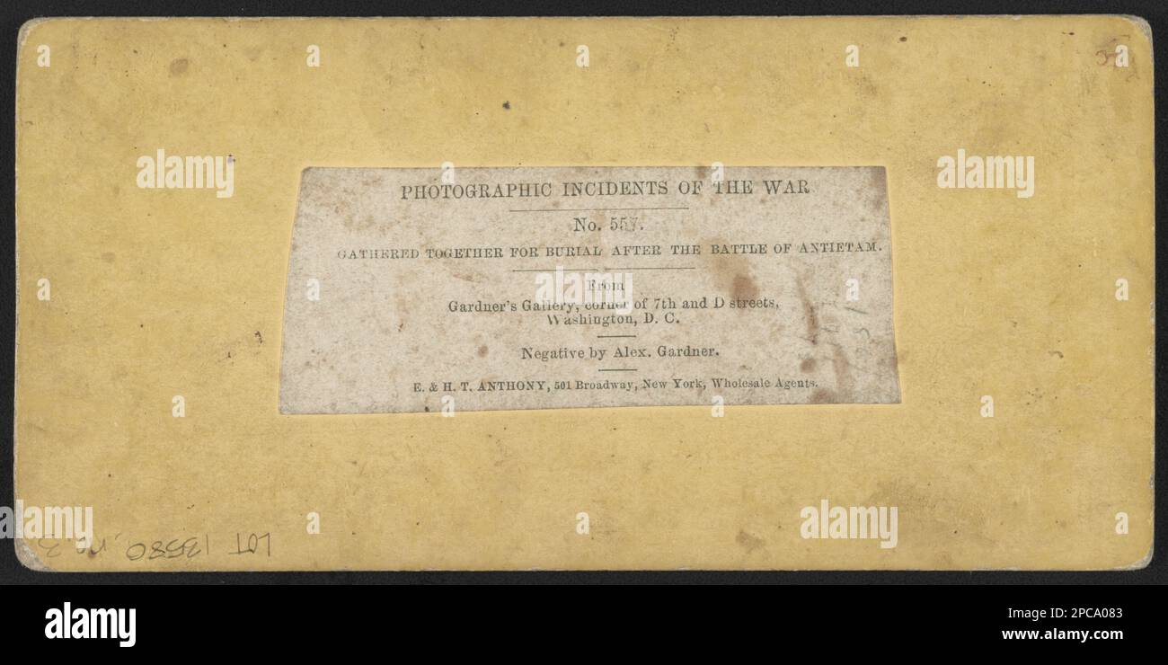 Battle of antietam dead hi-res stock photography and images - Alamy