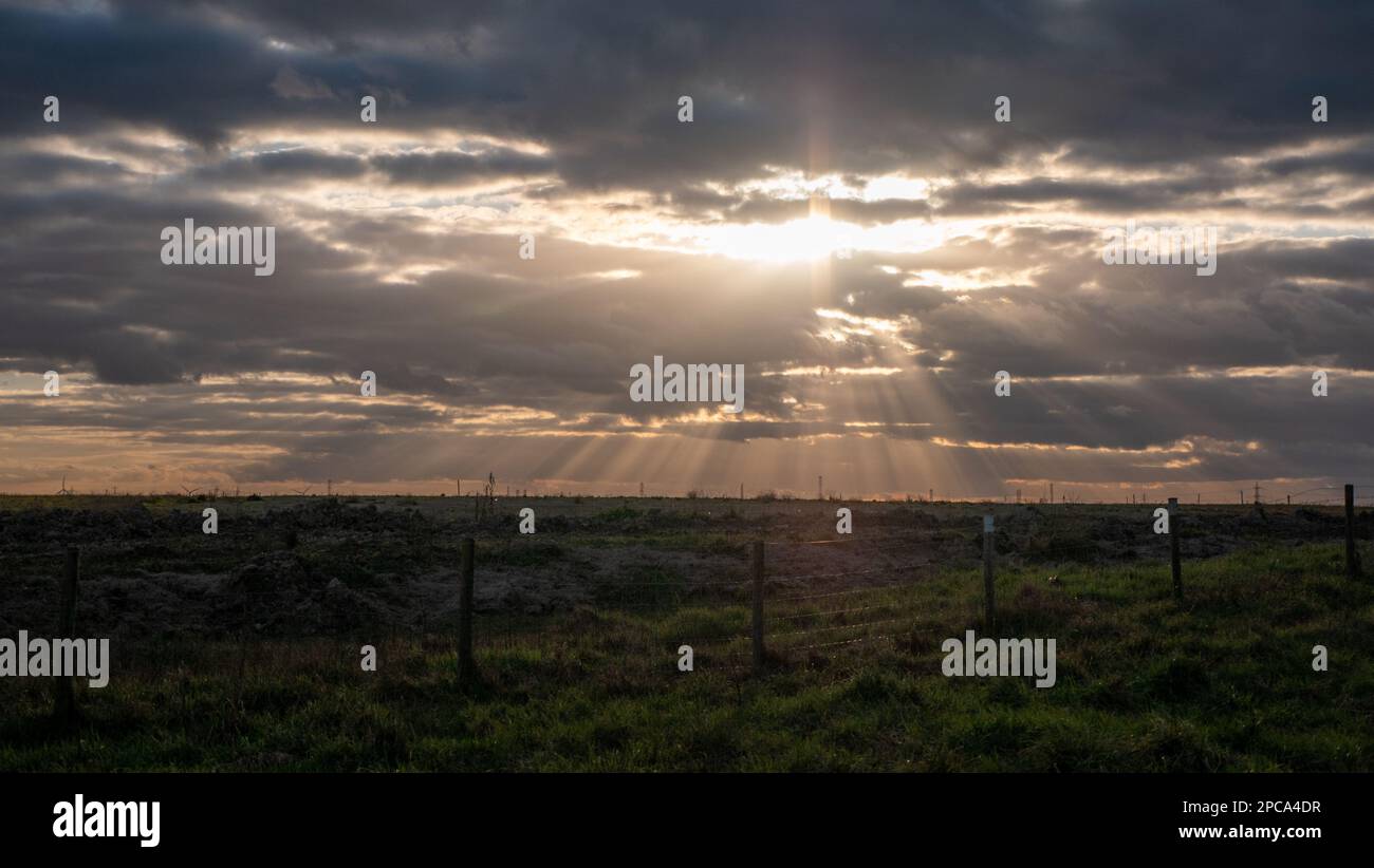 Thameside nature reserve hi-res stock photography and images - Alamy