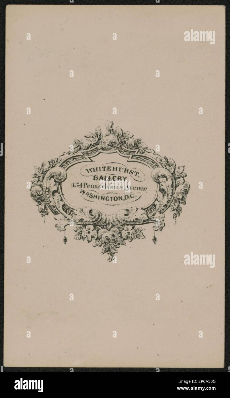 Brigadier General Elon John Farnsworth of Co. K, 8th Illinois Cavalry ...