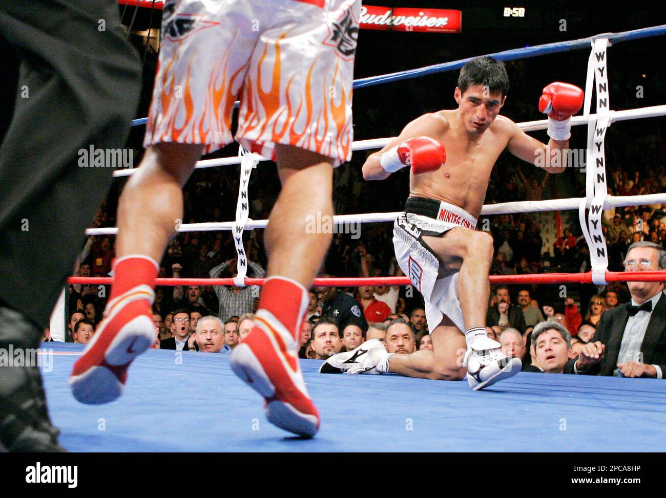 Erik Morales, of Mexico, tries to stand up after being knocked down in ...