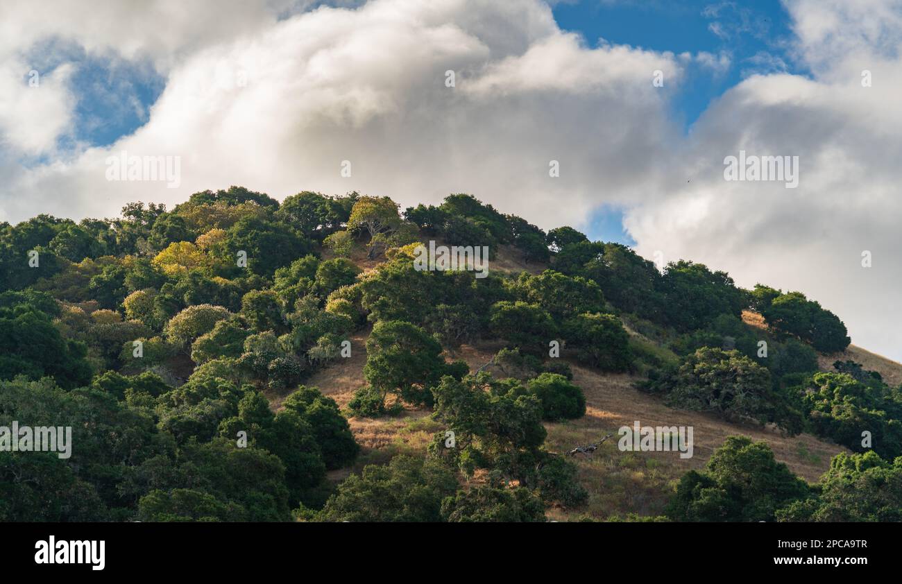 Fort Ord National Monument, California Stock Photo - Alamy