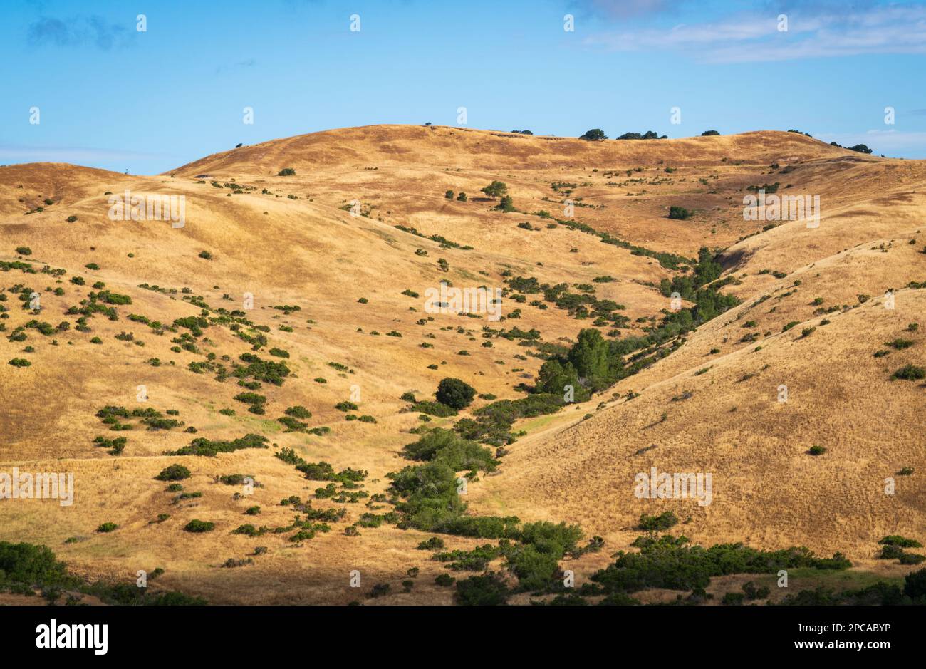 Fort Ord National Monument, California Stock Photo - Alamy