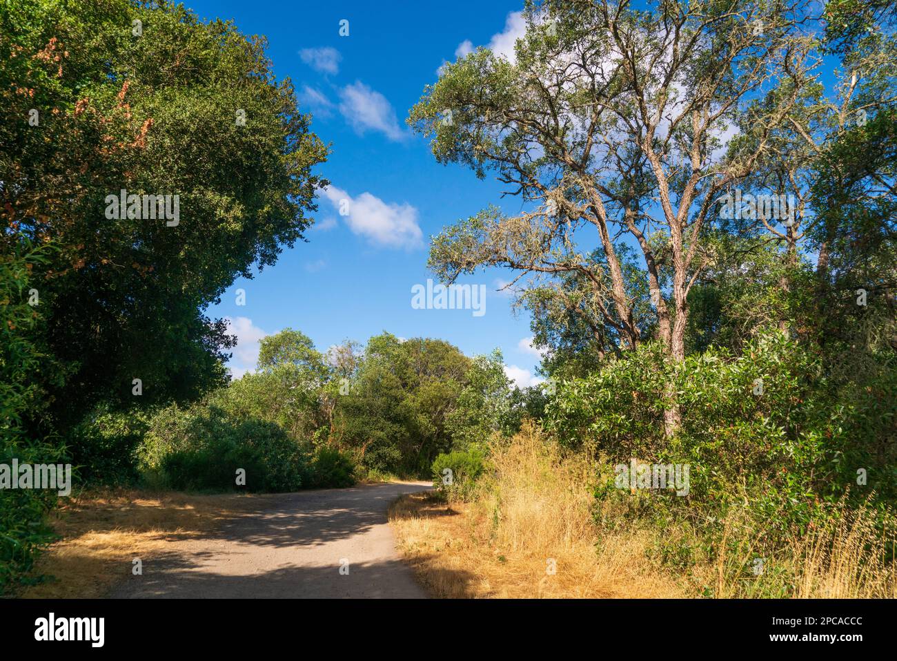Fort Ord National Monument, California Stock Photo - Alamy