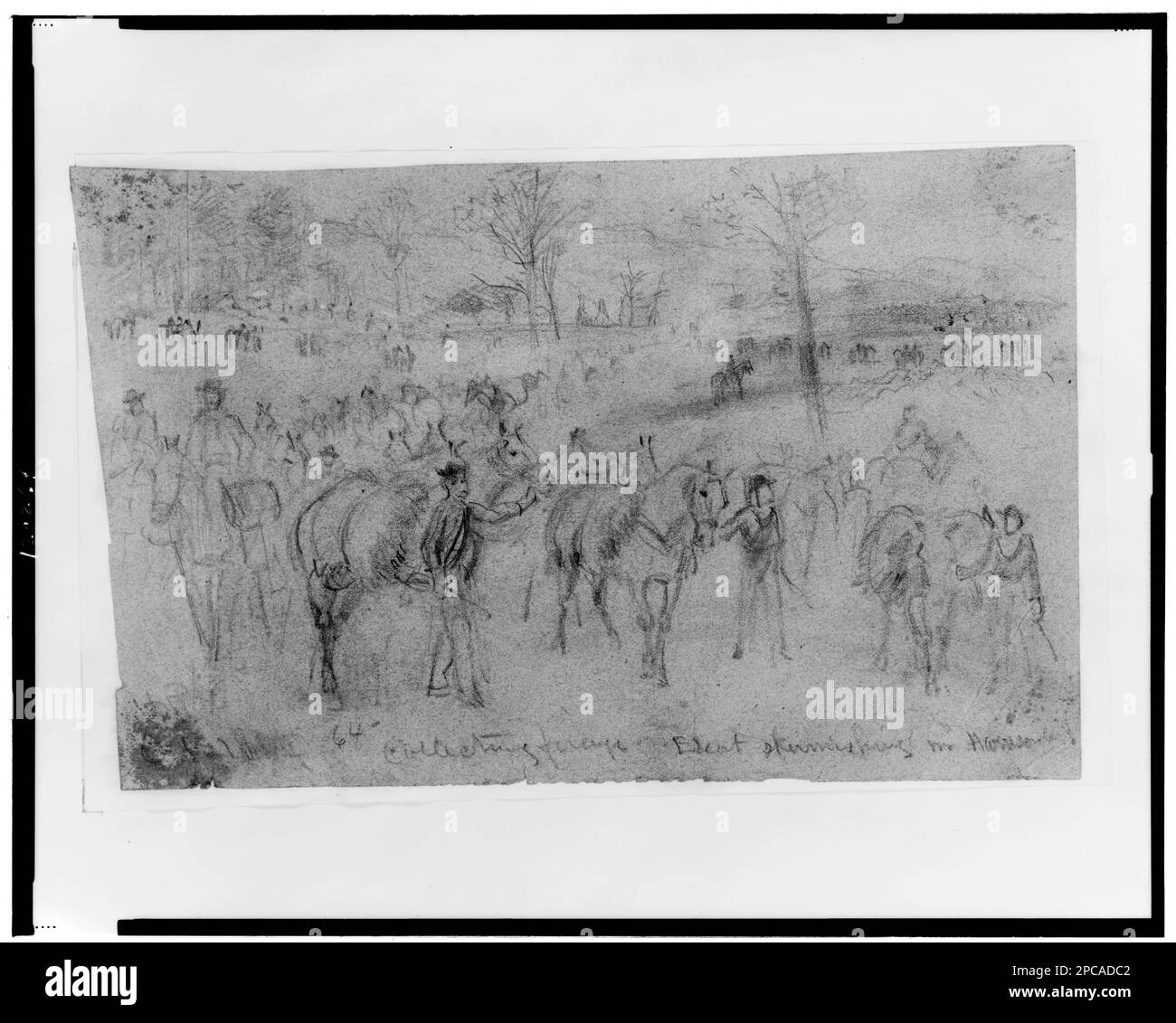 Collecting forage. Escort skirmishing n. Harrison. Morgan collection of ...