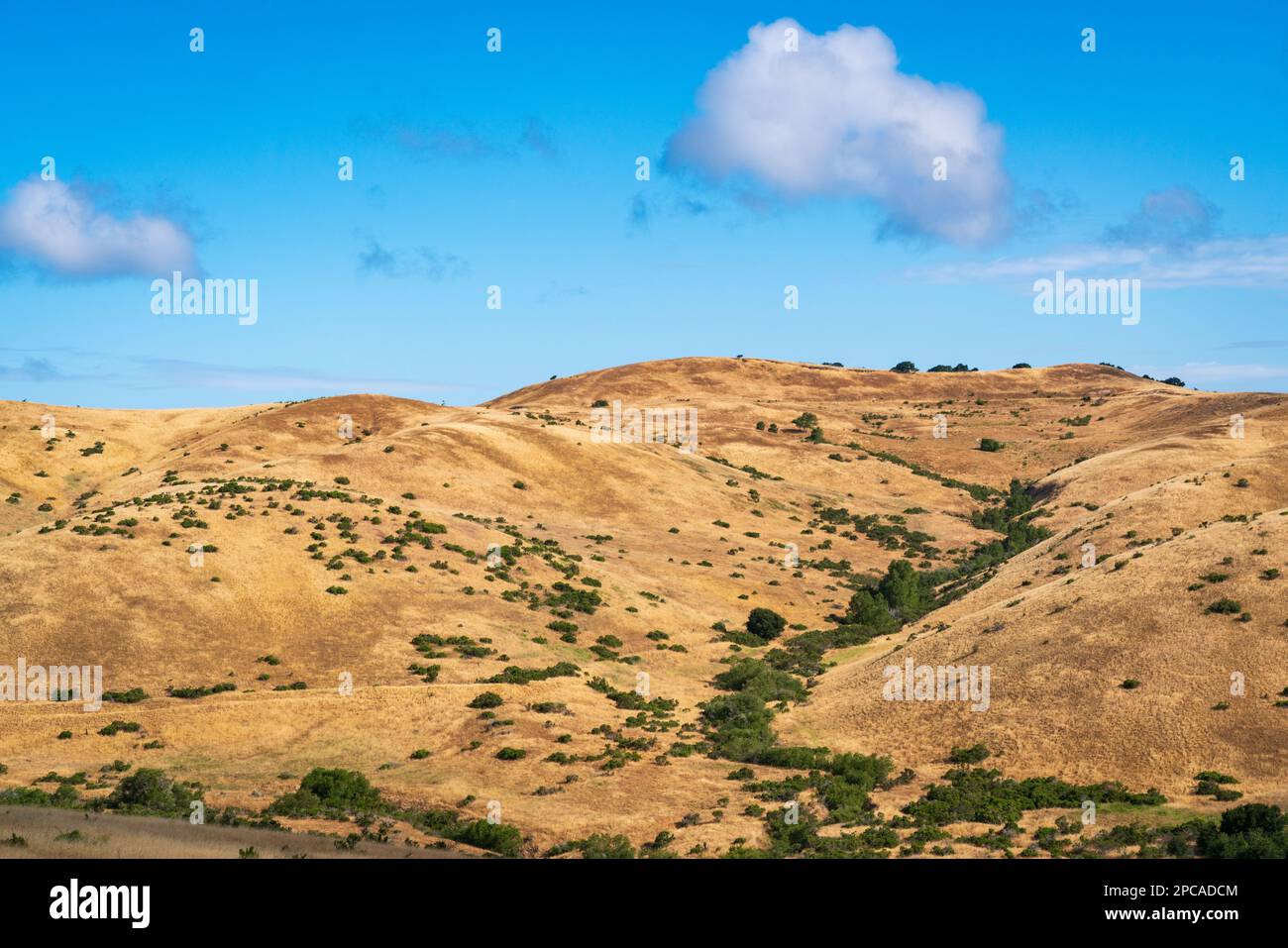 Fort ord monterey county california hi-res stock photography and images ...