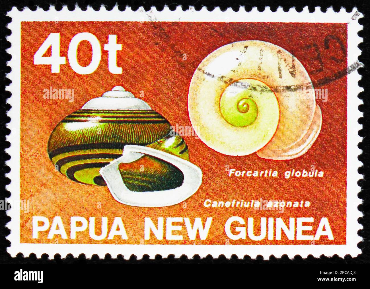 Forcartia globula hi-res stock photography and images - Alamy