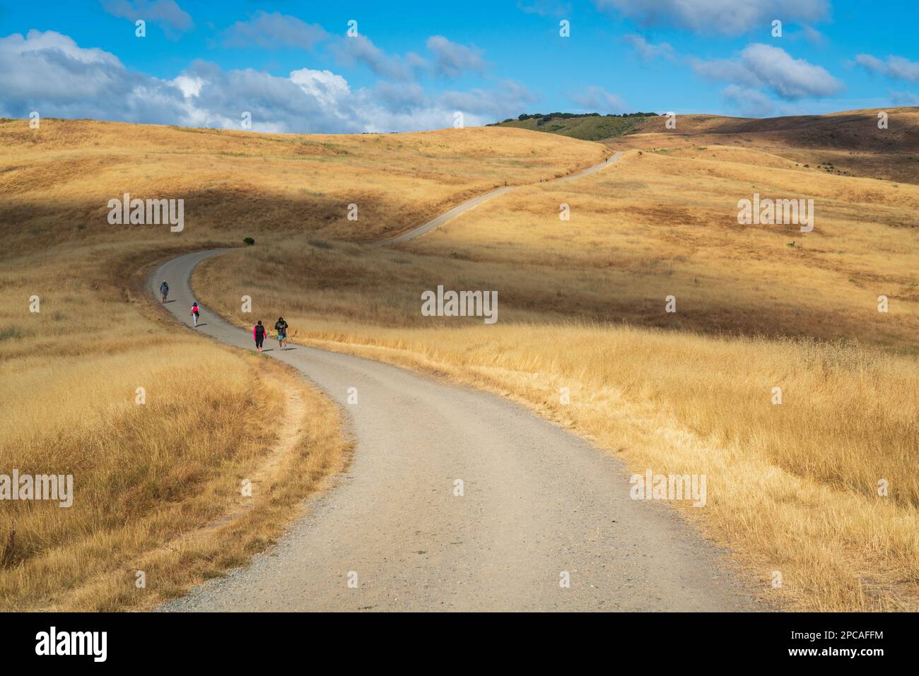 Fort Ord National Monument, California Stock Photo - Alamy