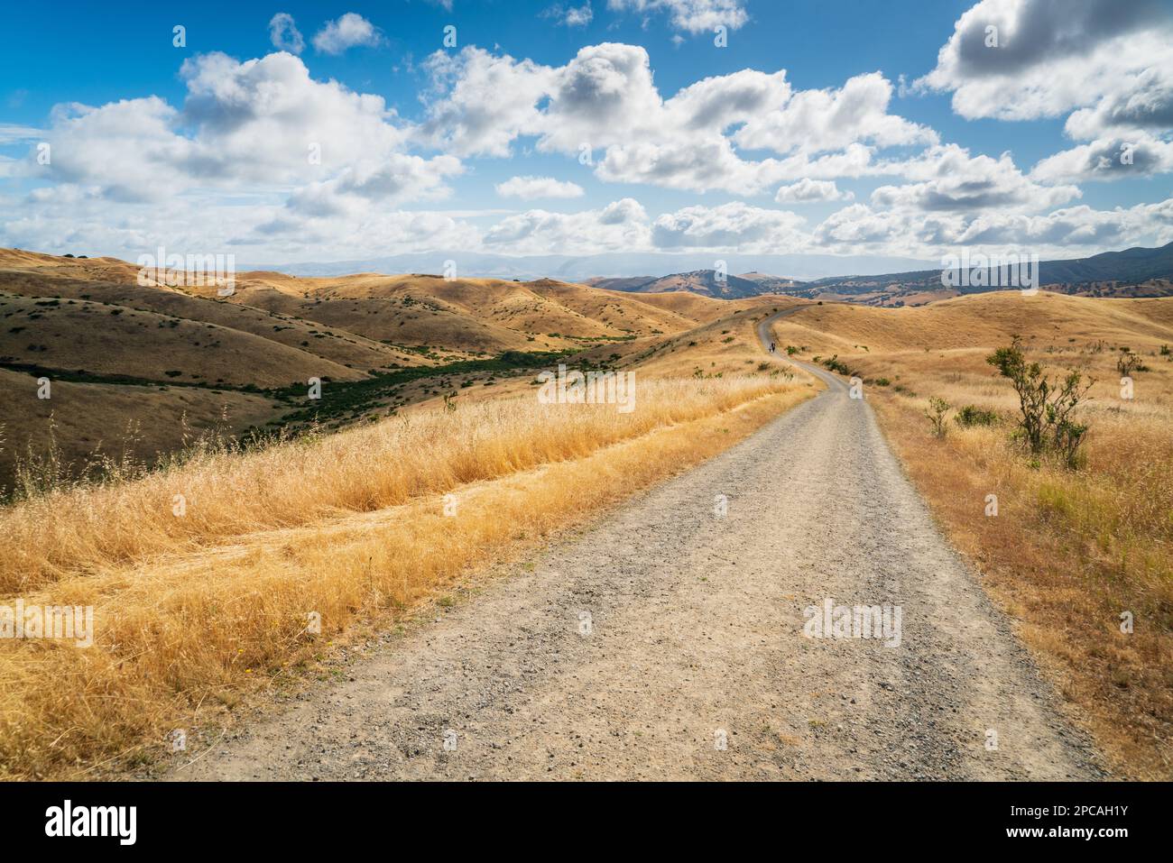 Fort Ord National Monument, California Stock Photo - Alamy