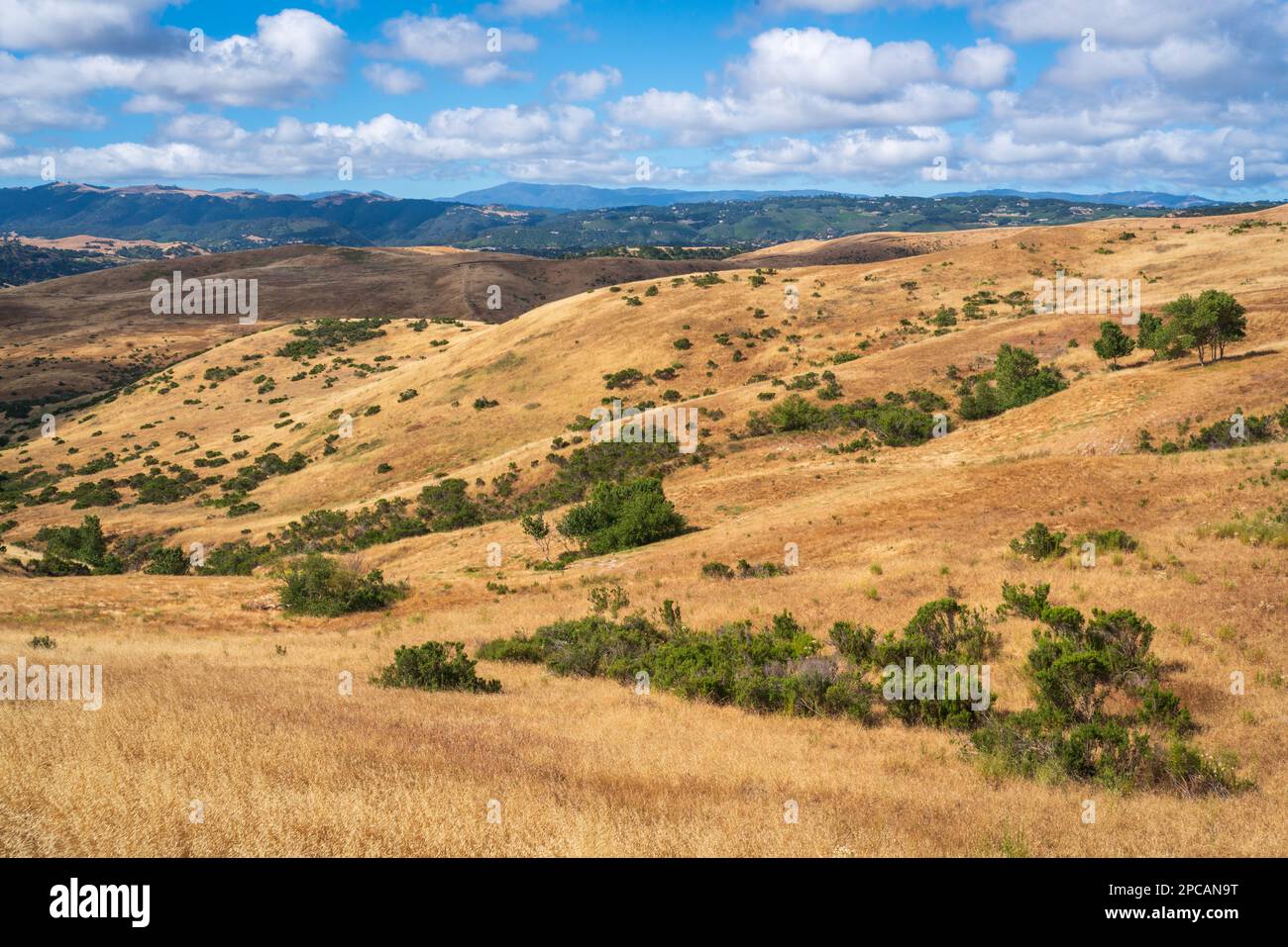 Fort ord monterey county california hi-res stock photography and images ...