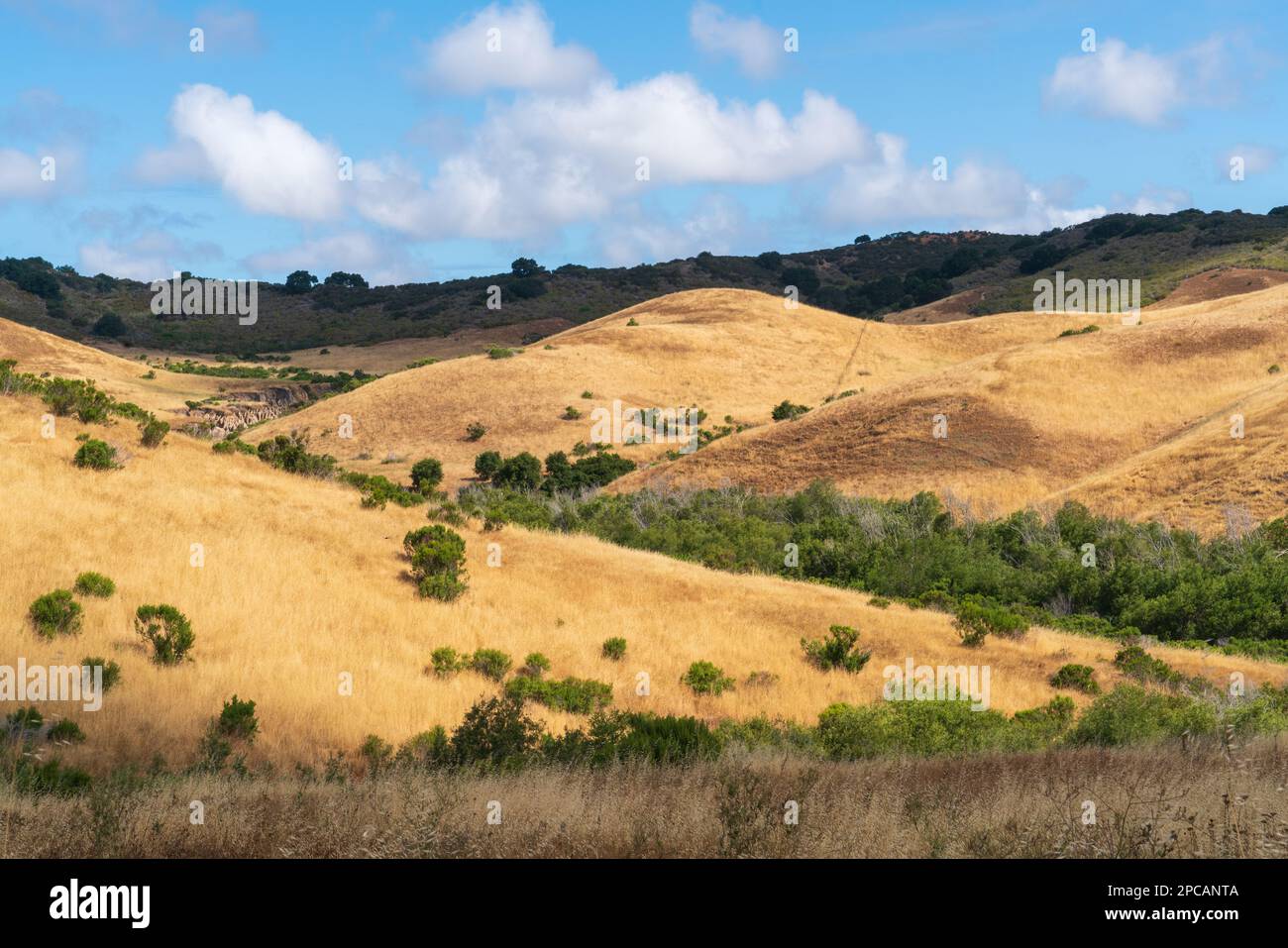 Fort Ord National Monument, California Stock Photo - Alamy