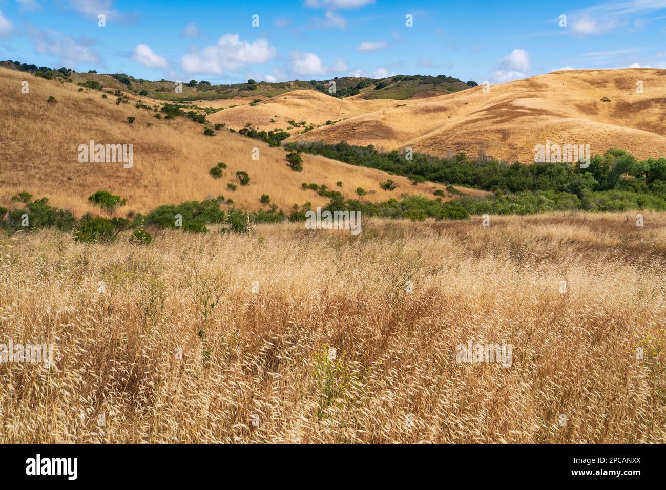 Fort Ord National Monument, California Stock Photo - Alamy